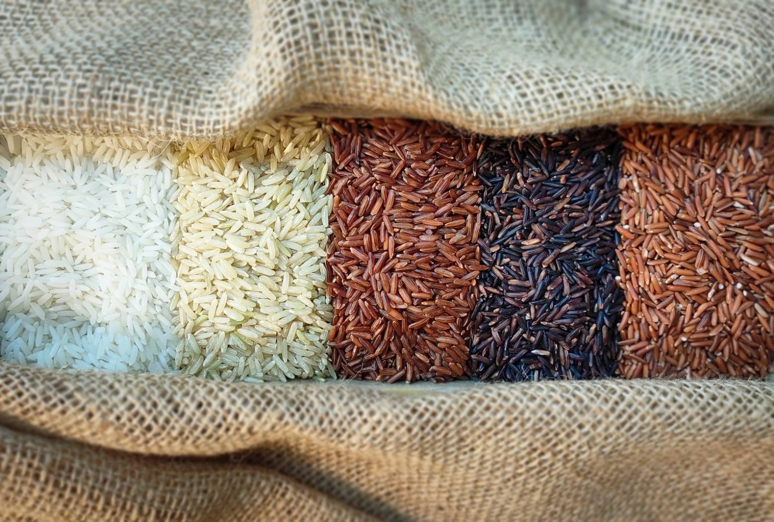 NANA RICE (THAILAND)